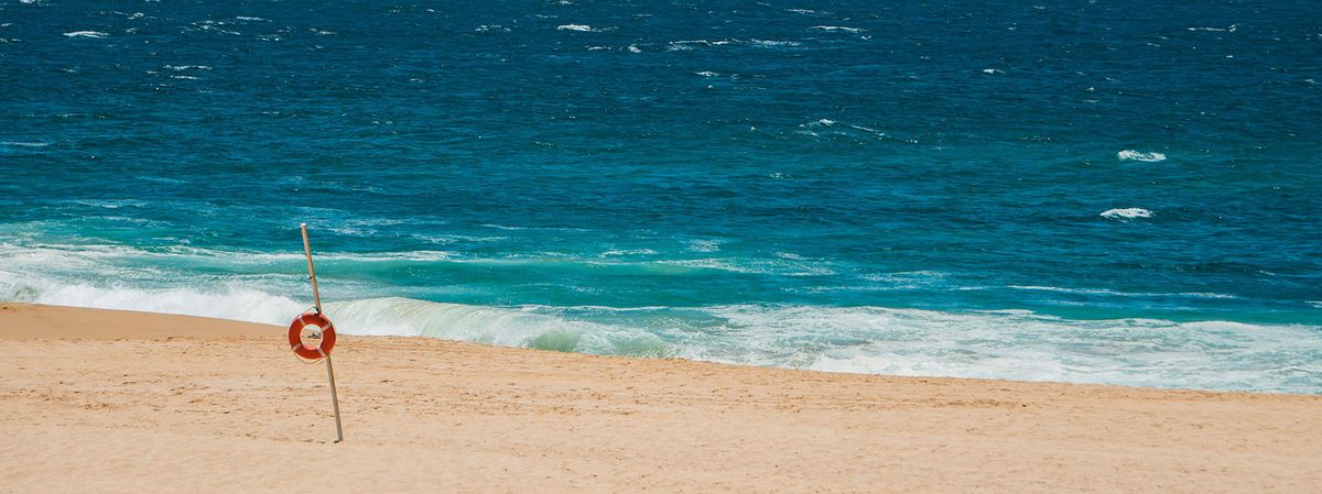 EMILY The Robot Lifeguard | BOATERexam.com®