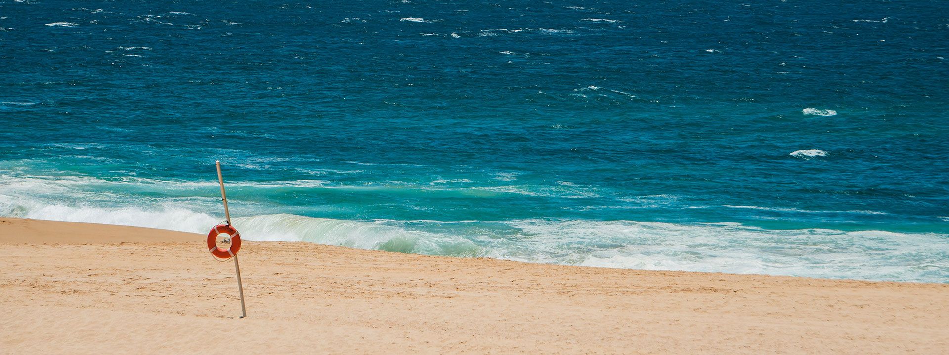 EMILY The Robot Lifeguard | BOATERexam.com®