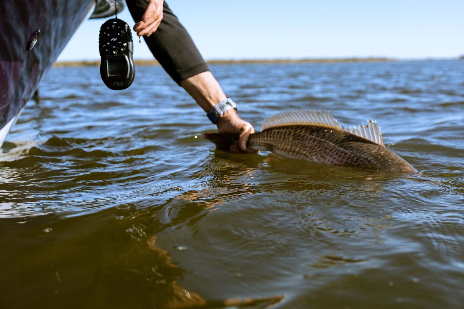 Top Tips for Catching Redfish This Season | BOATERexam