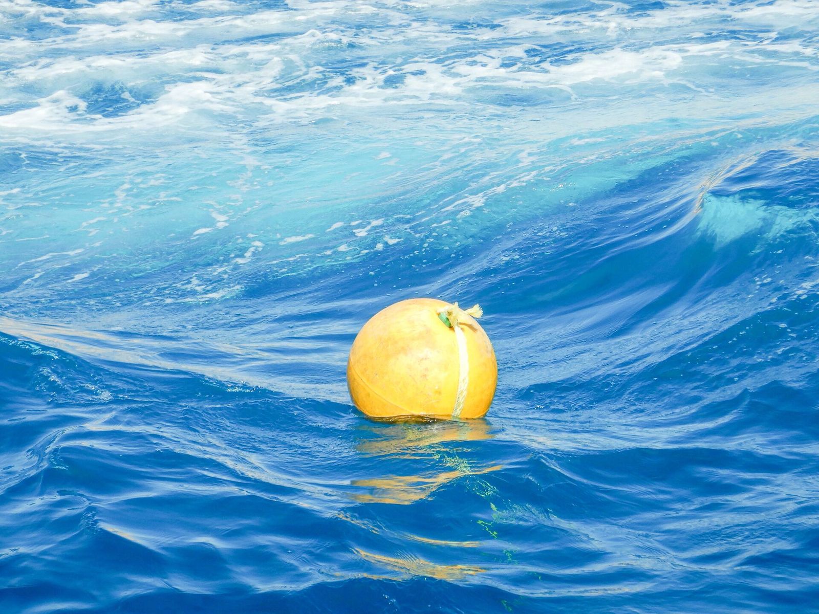 What Are Buoys and Why Are They Important? | BOATERexam